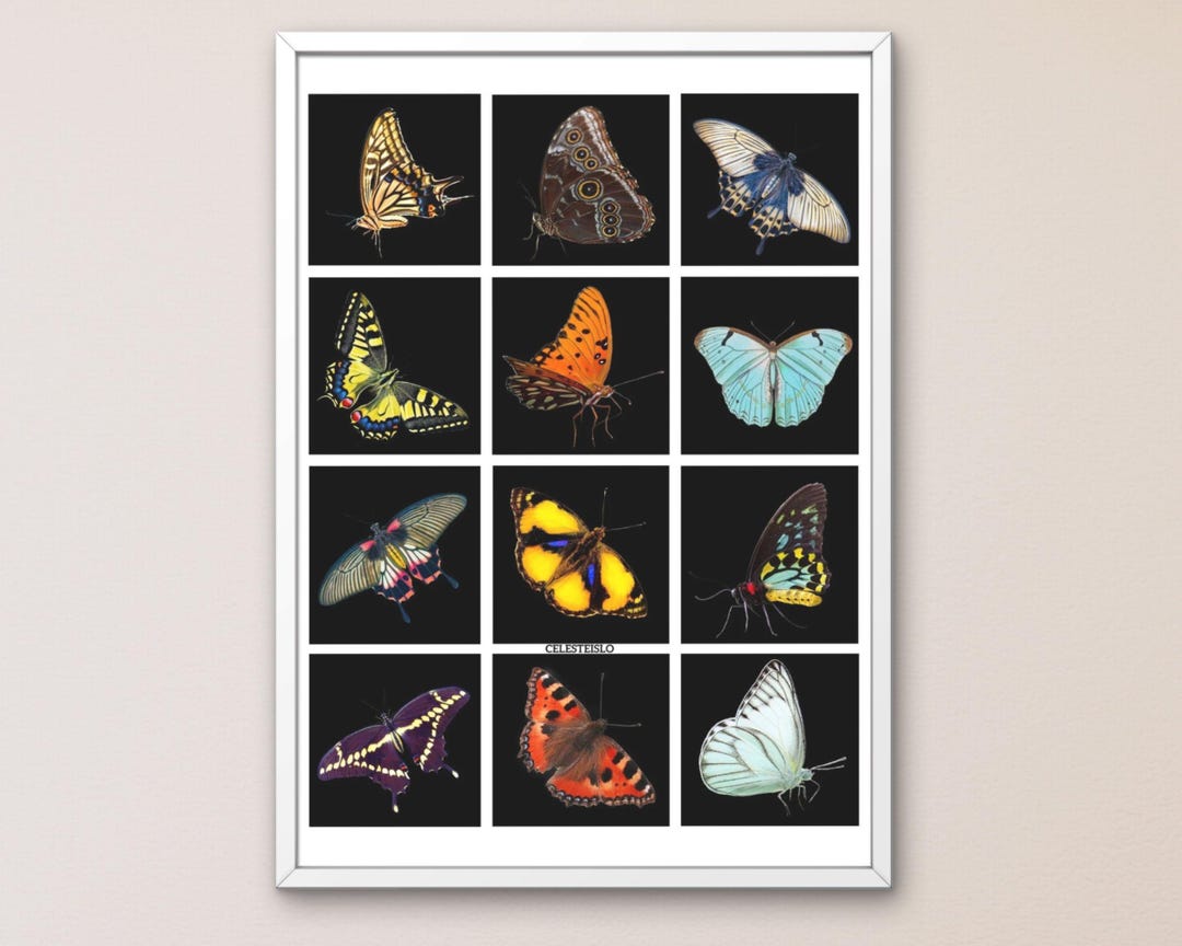 Printable Butterfly Print, Butterfly Wall Art, Neutral Farmhouse Wall ...