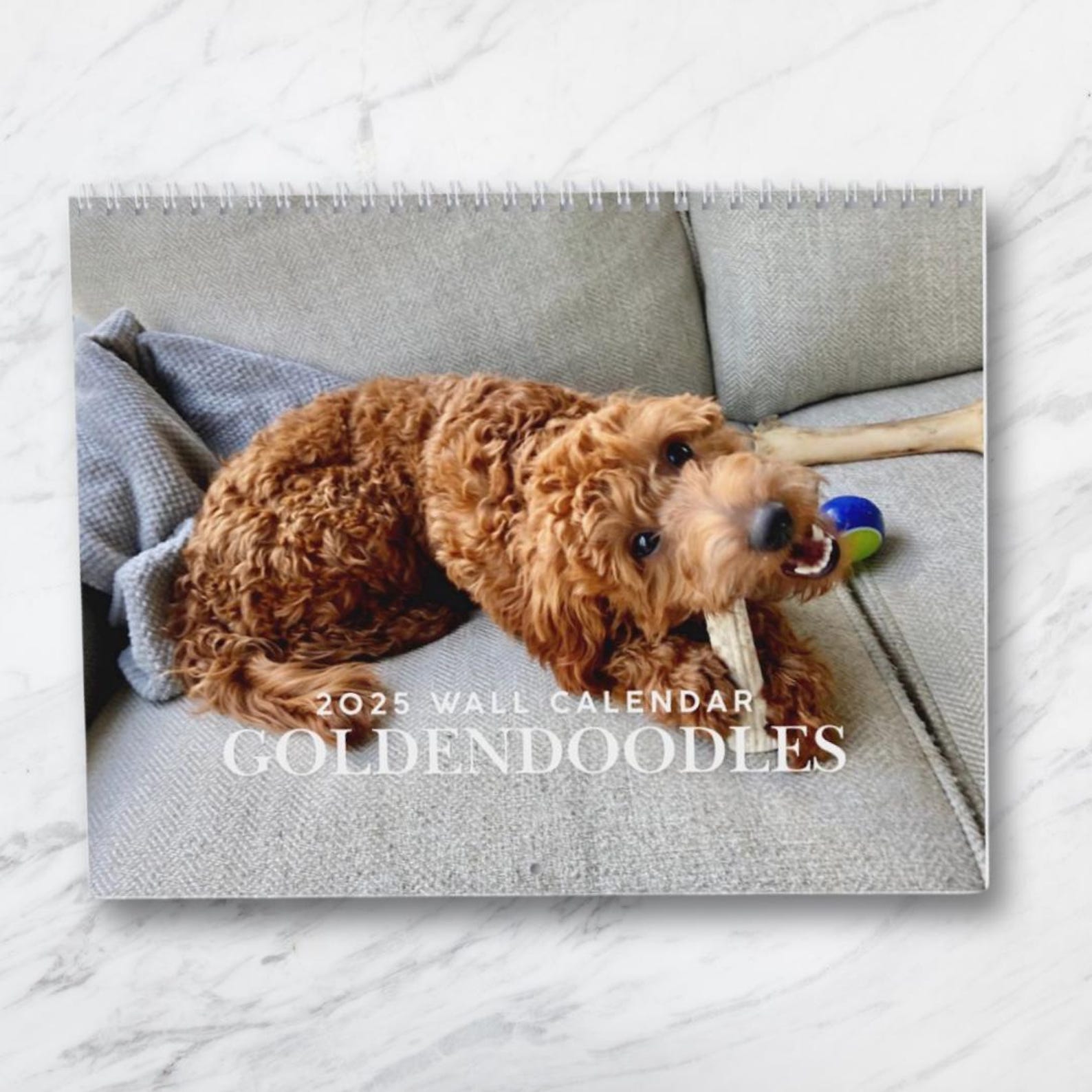2025 Goldendoodle Wall Calendar: A Year of Fluffy Charm! - Etsy
