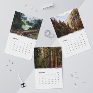 2025 Enchanted Forests Wall Calendar - Etsy