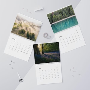 2025 Enchanted Forests Wall Calendar - Etsy