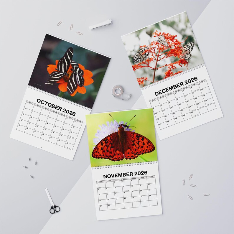 2026 Butterfly Wall Calendar: Garden and Spring Décor - Etsy