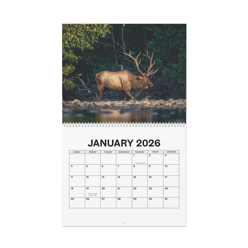 2026 Wildlife Calendar - Hunting, Deer, Elk, Moose - Etsy