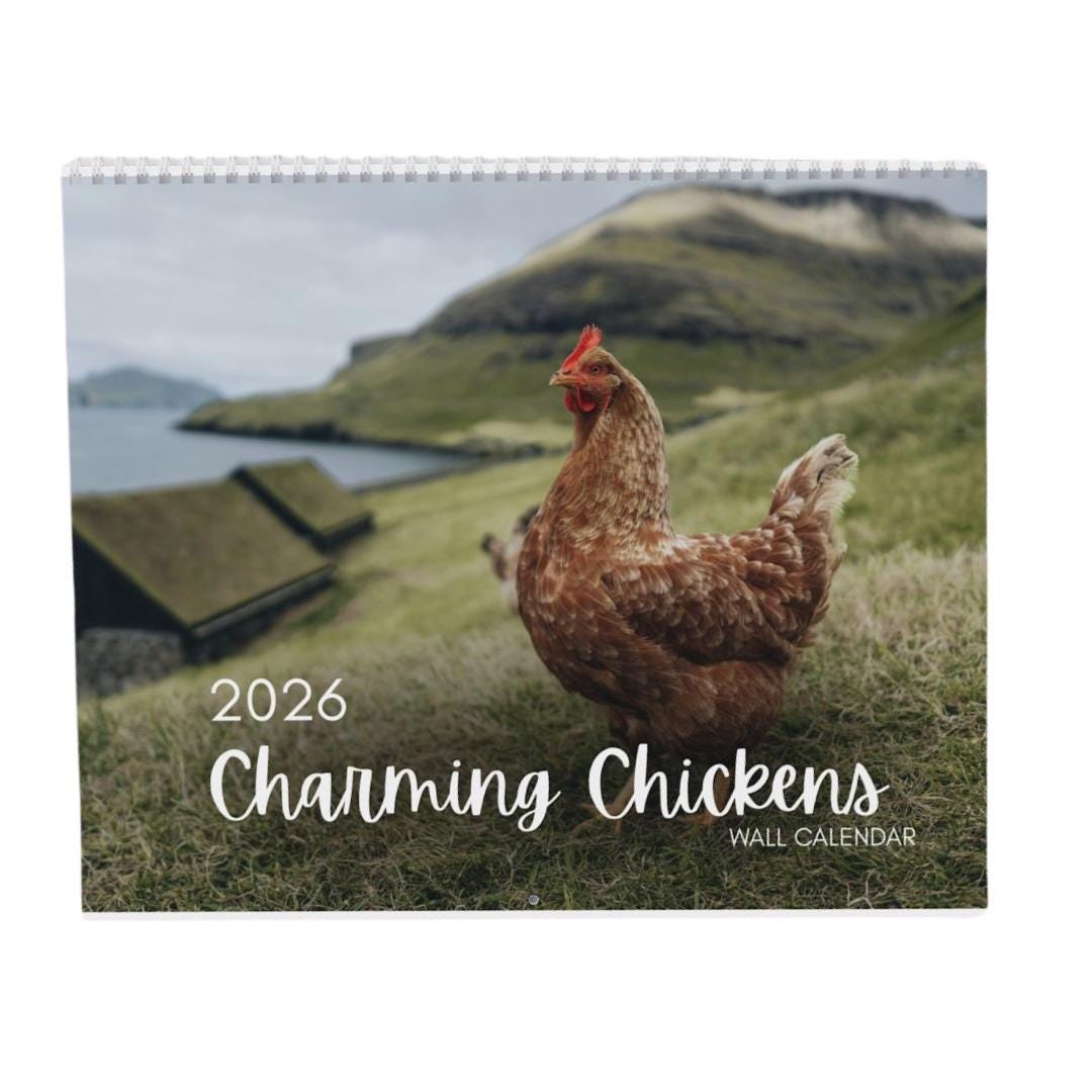 2026 Chicken Wall Calendar | Farmhouse Décor and Charming Chickens - Etsy