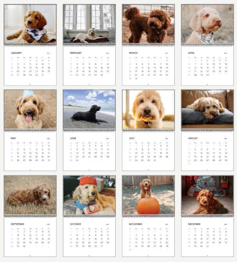 2025 Goldendoodle Wall Calendar: A Year of Fluffy Charm! - Etsy