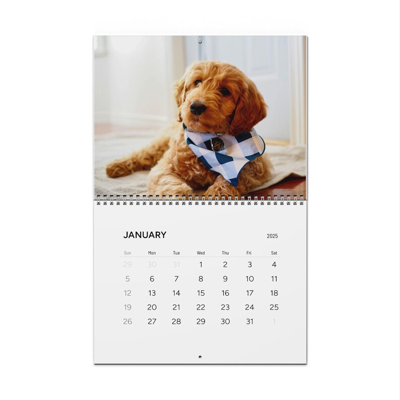 2025 Goldendoodle Wall Calendar: A Year of Fluffy Charm! - Etsy
