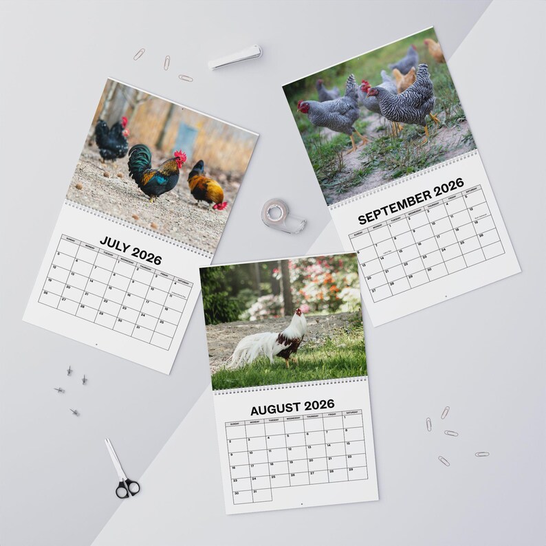 2026 Chicken Wall Calendar | Farmhouse Décor and Charming Chickens - Etsy