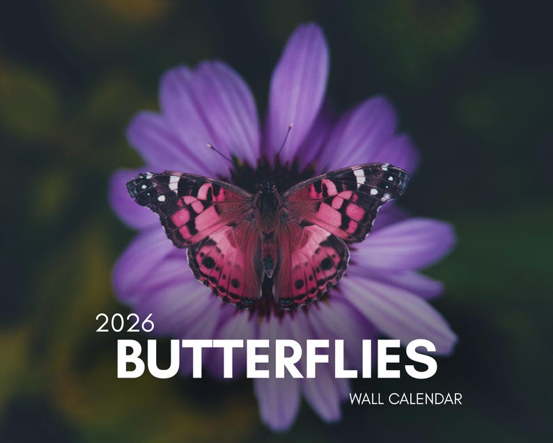 2026 Butterfly Wall Calendar: Garden and Spring Décor - Etsy