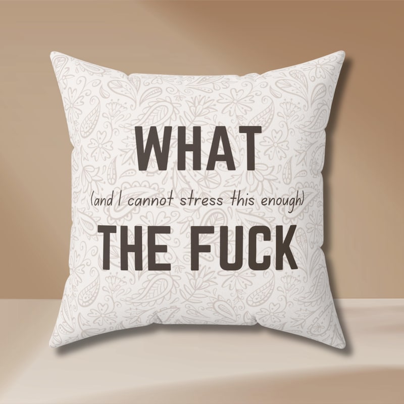 Funny Throw Pillow - Etsy