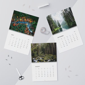 2025 Enchanted Forests Wall Calendar - Etsy