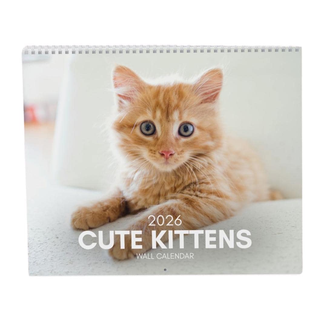 2026 Cute Kitten Wall Calendar: Adorable Kitten Photos - Etsy