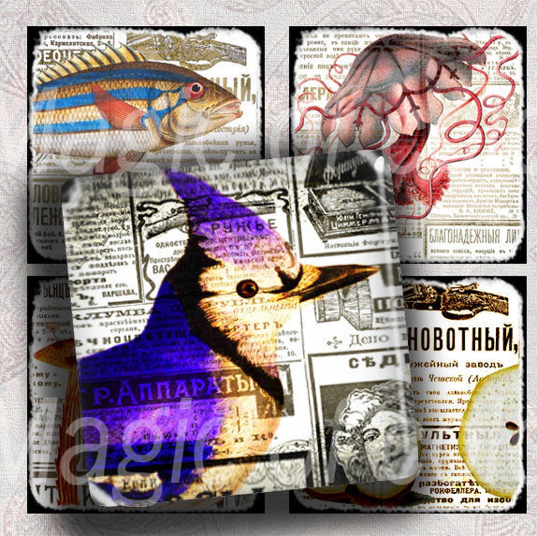 Colors of Nature 63 1x1 Inch Square JPG Images Digital Collage Sheet - Etsy