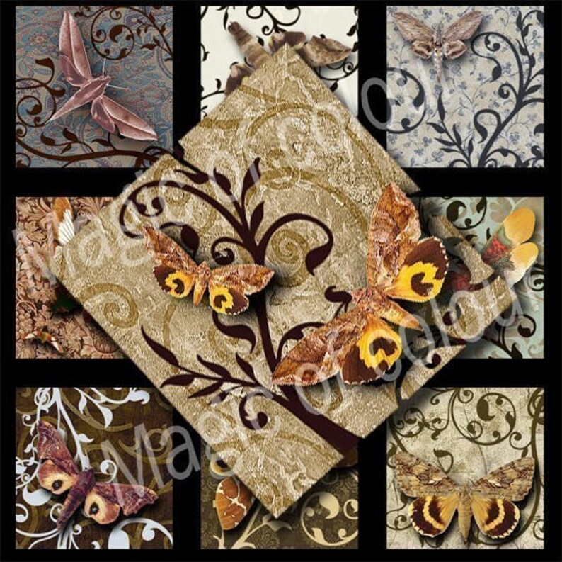 Digital Collage of Original Moth Illustration 63 1x1 Inch - Etsy