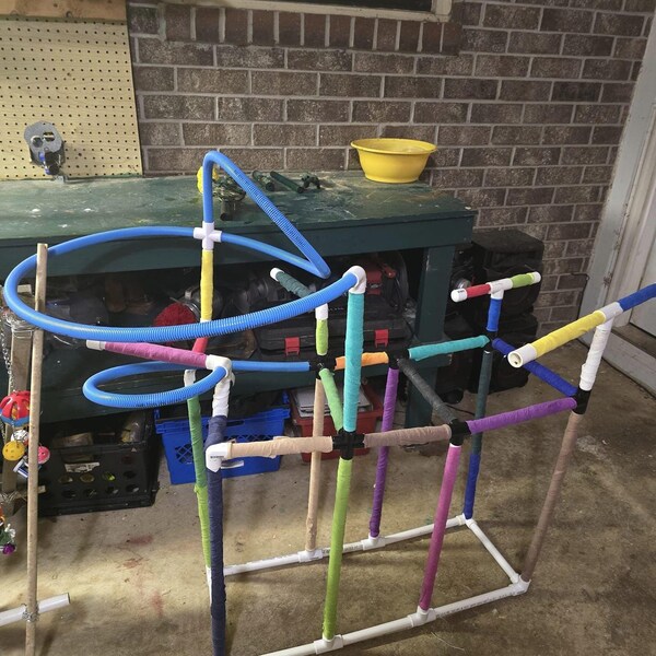 Bird Play Gym - Etsy