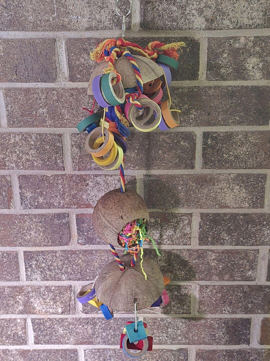 Parrot Coconut Toy - Etsy