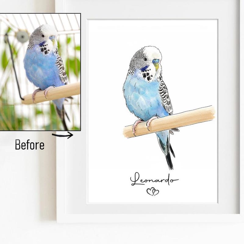 Bird Portrait Drawings - Etsy UK