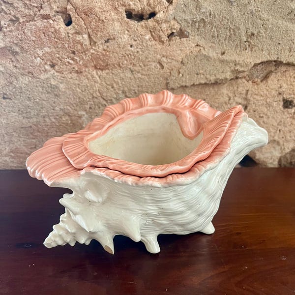 Conch Shell Planter - Etsy