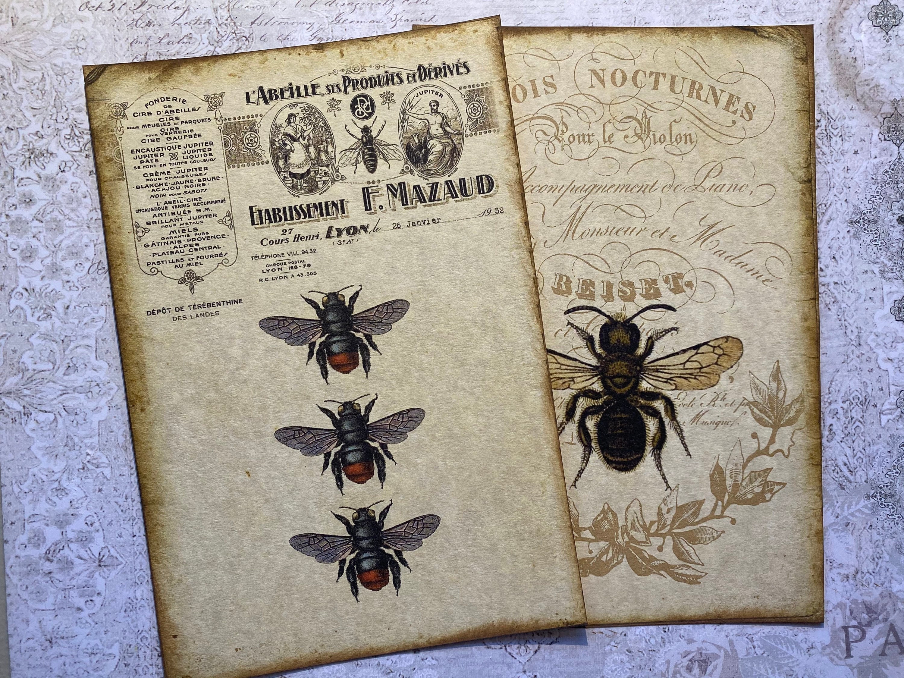 Vintage Inspired Bee Ephemera Bundle printed on parchment | Etsy