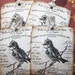Bird Tags, Set of 4 With Silver Glitter - Etsy