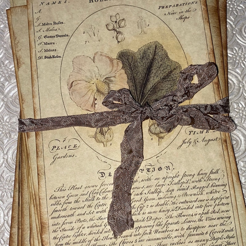 Real Parchment Paper - Etsy