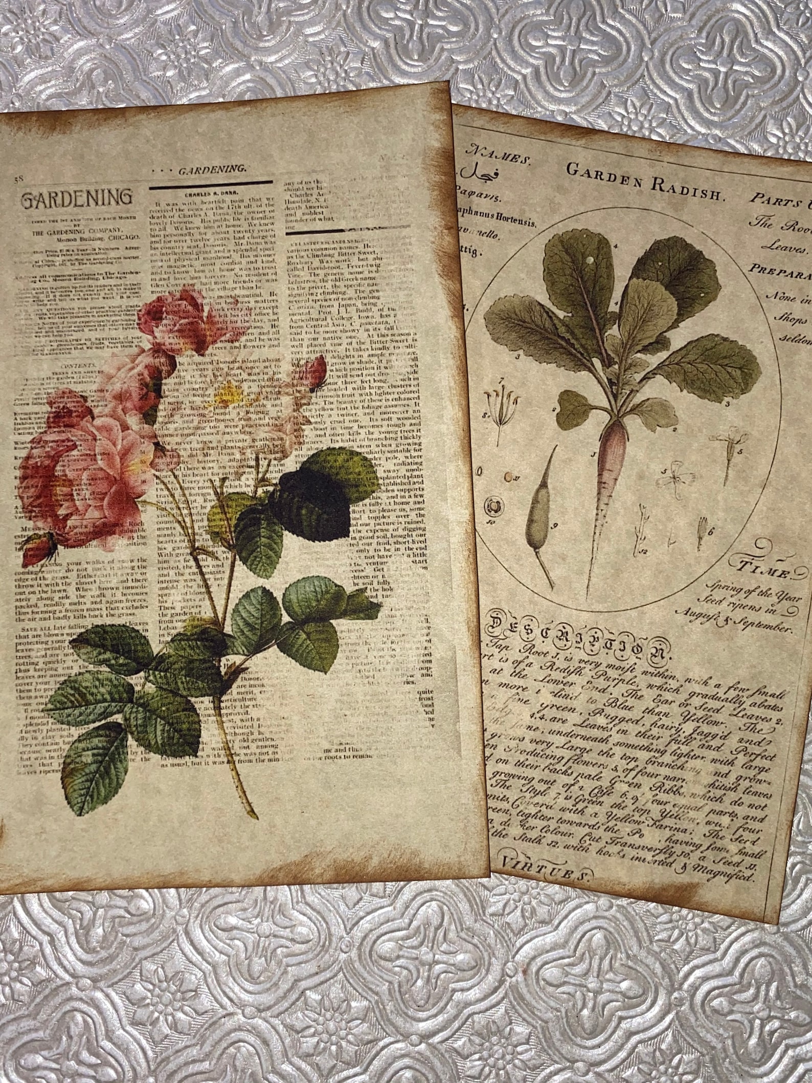 Botanical Ephemera Bundle, Vintage Inspired, 64lb Parchment Paper, Set ...