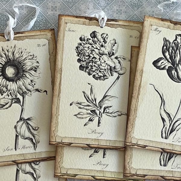 Botanical Book Plate - Etsy