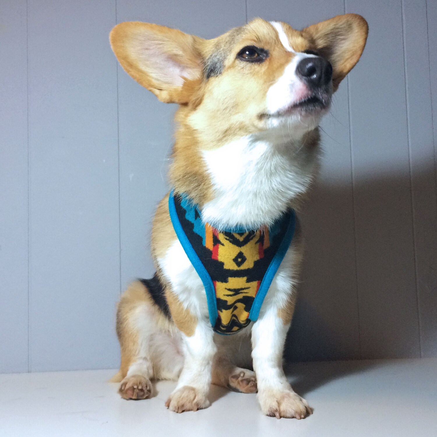 Our Other Etsy Shop Oregon Wool Traders - Etsy