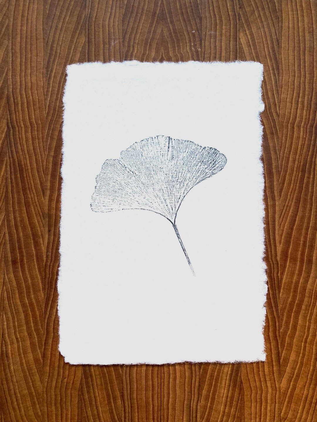 Gingko Leaf Monotype Print, Handmade Originak Botanical Art on Deckle ...