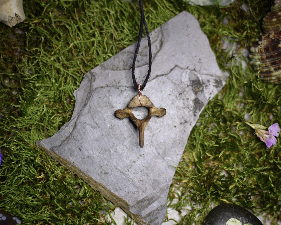 Bone Pendant Necklaces Vertebrae Necklace Tooth Necklace - Etsy