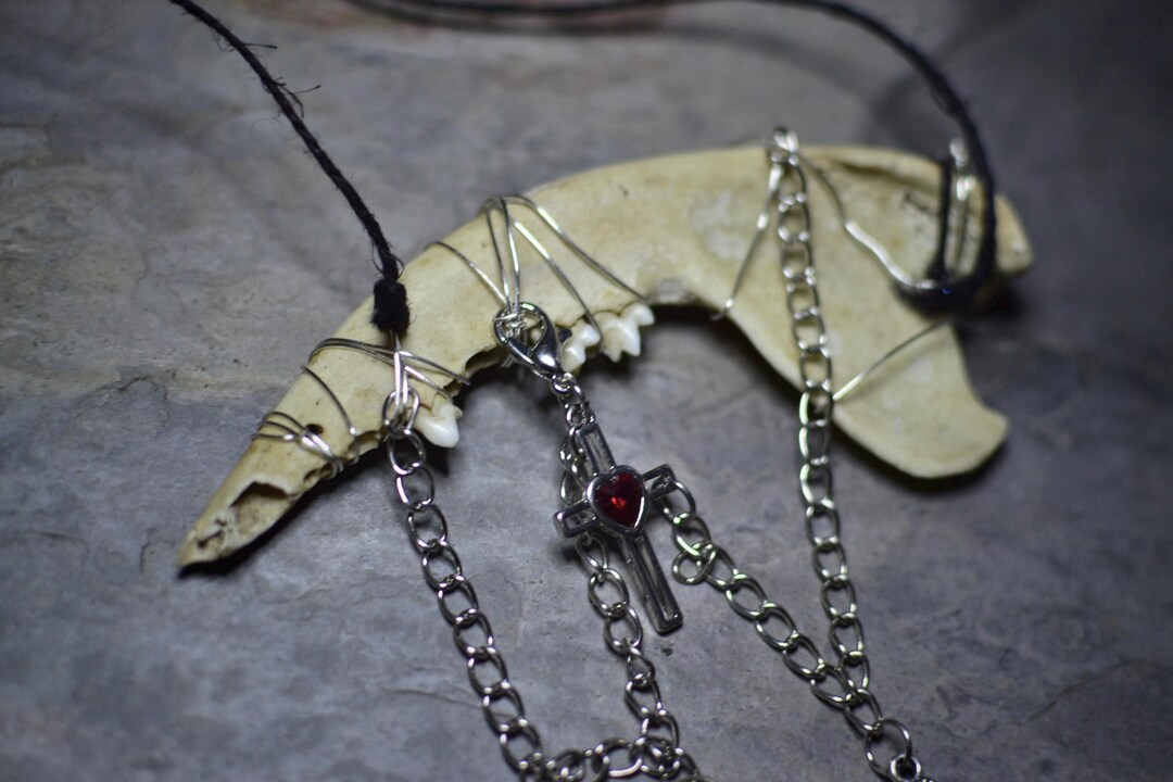 Gothic Animal Bone Wall Decor | Real Opossum Jaw Bone | Gothic Charms ...