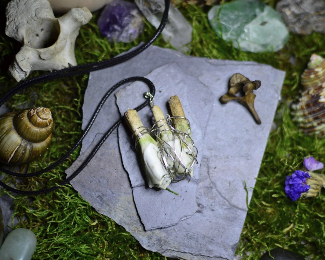 Authentic Deer Tooth Pendant Necklace Real Deer Molar - Etsy