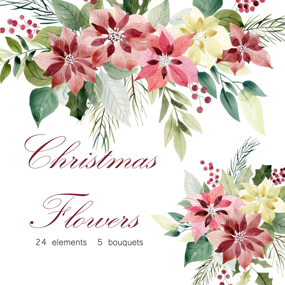 Christmas Poinsettia Clipart, Red Flowers, Floral Png. - Etsy