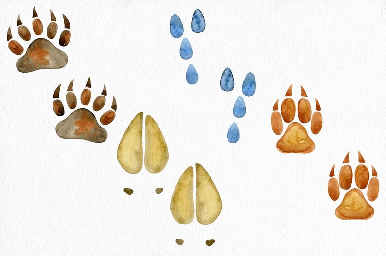 Watercolor Forest Animals Clipart, Kids Nursery Art, Leaves, Mushroom ...