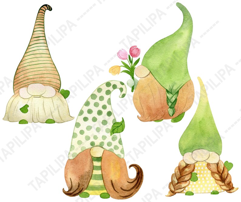 Watercolor Spring Gnomes Clipart, Cute PNG Illustrations, Spring Tulips ...