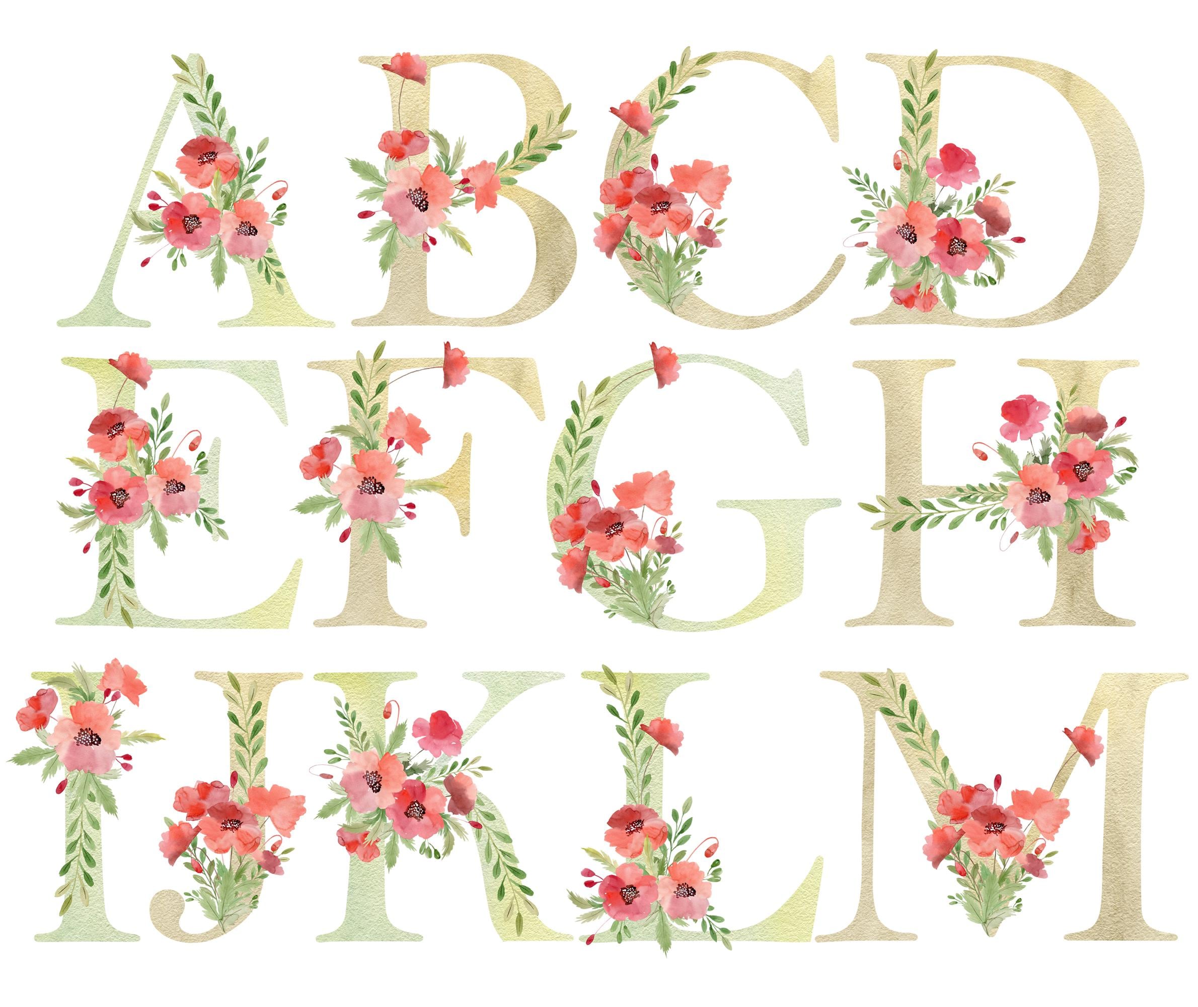 Watercolor Floral Alphabet, Red Poppies, Letters and Numbers Clipart ...
