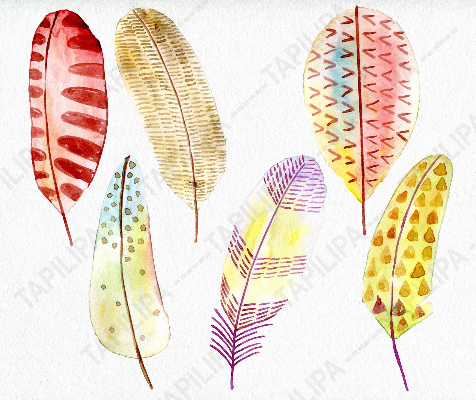 Watercolor Owls Clipart, Kids Clip Art, Bird Feather, Flowers Png ...