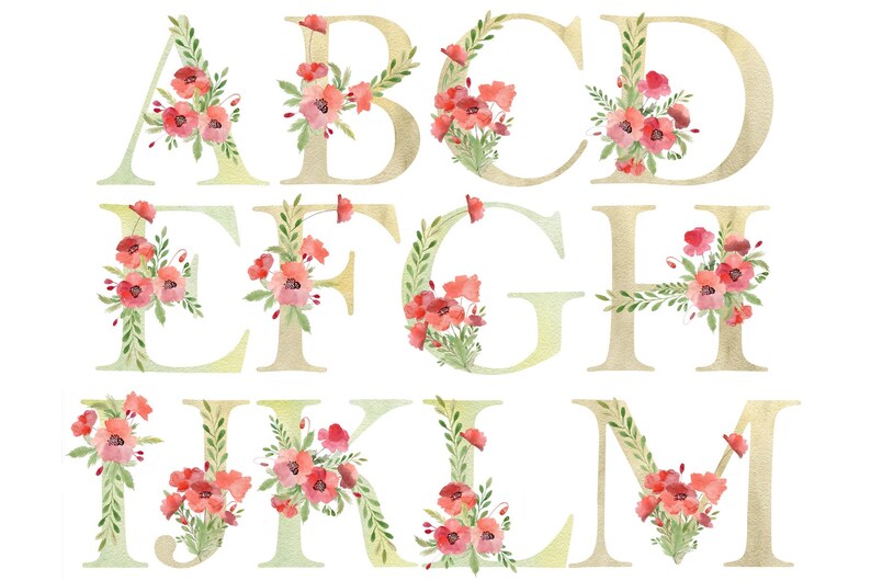 Watercolor Poppies Clipart, Floral Alphabet & Numbers, Flower Letters ...
