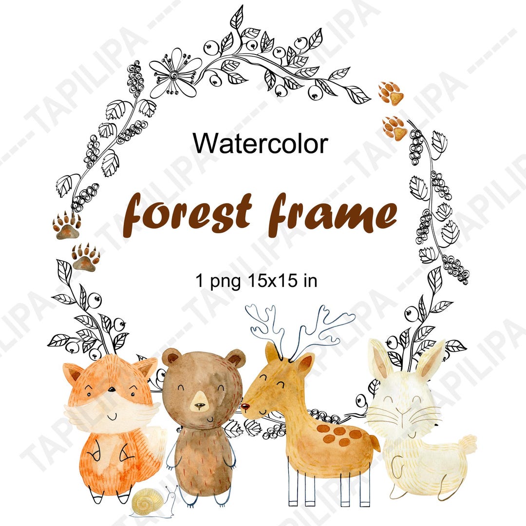 Watercolor Forest Animals Frame Png, Cute Baby Shower, Funny Animals ...