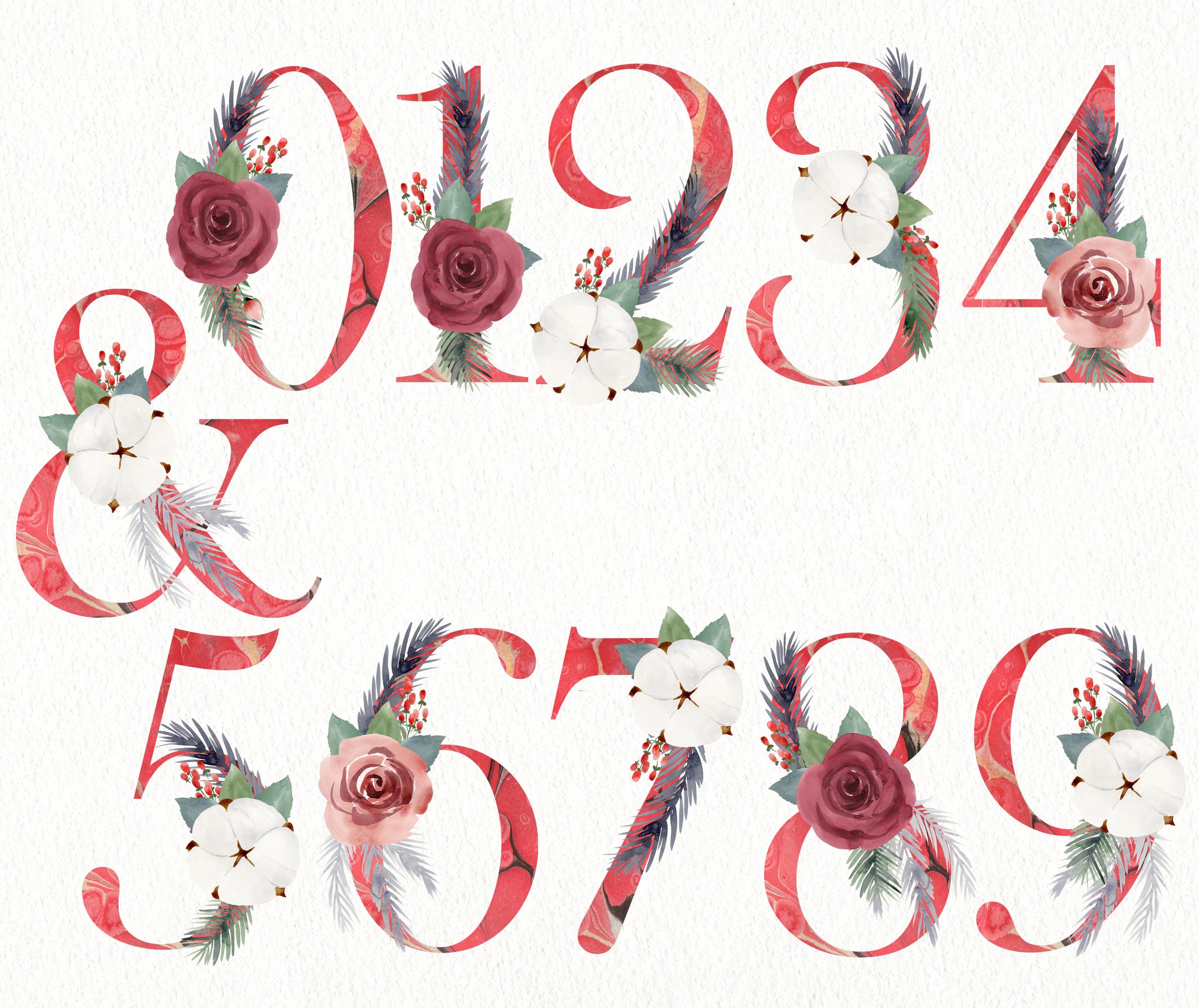 Christmas Flowers Alphabet, Watercolor Red Letters and Numbers ...