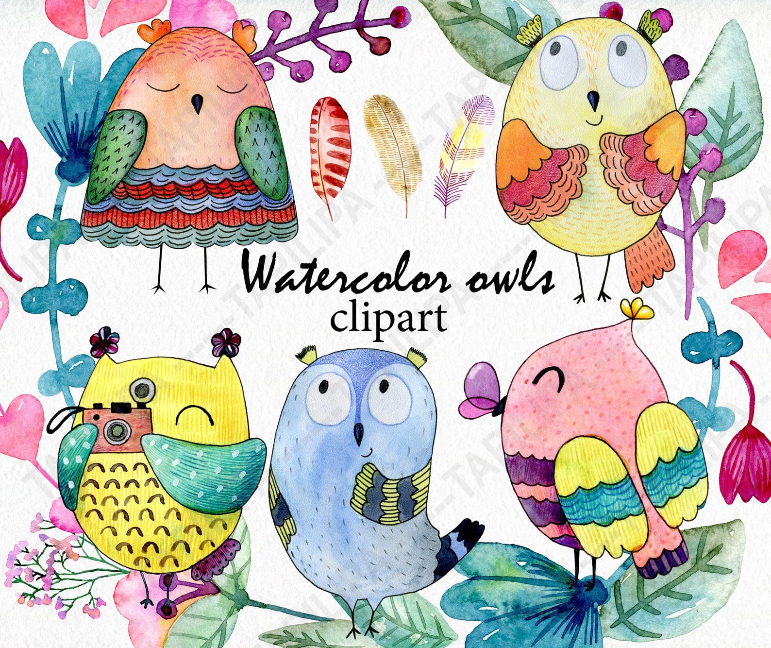 Watercolor Owls Clipart, Kids Clip Art, Bird Feather, Flowers Png ...