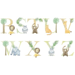 Safari Animals Alphabet - Baby Letters & Numbers, Watercolor Clipart ...