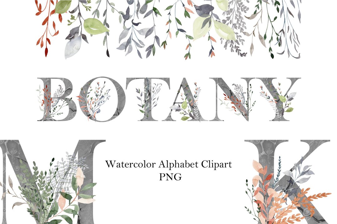 Watercolor Floral Alphabet Clipart, Grey Letters & Numbers, PNG ...