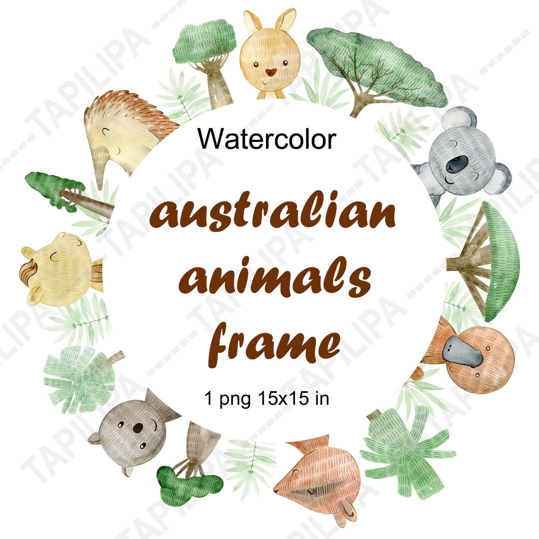 Watercolor Australian Animals Frame Png, Cute Baby Shower, Adorable ...
