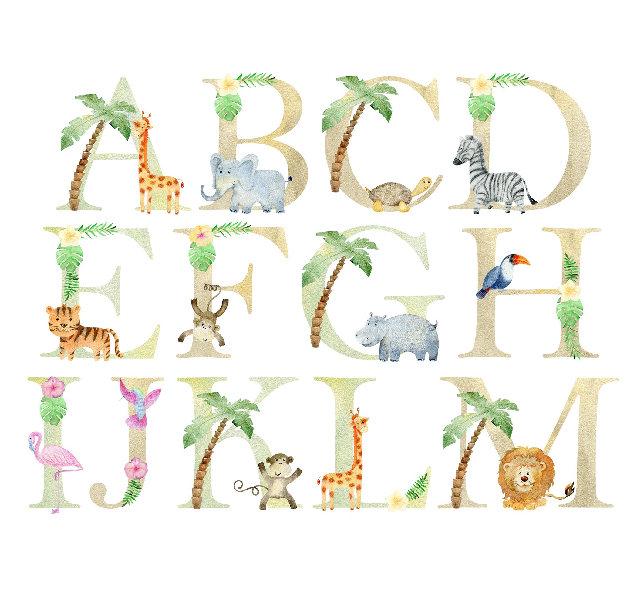 Watercolor Safari Animals Alphabet, Letters and Numbers Clipart ...
