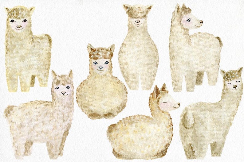 Watercolor Llama Clipart Set, Cactus PNG, Seamless Patterns, Frames ...