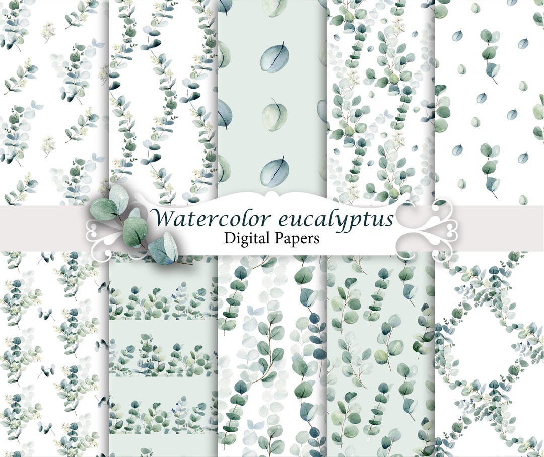 Watercolor Eucalyptus Leaves Papers, Floral Digital Patterns. - Etsy