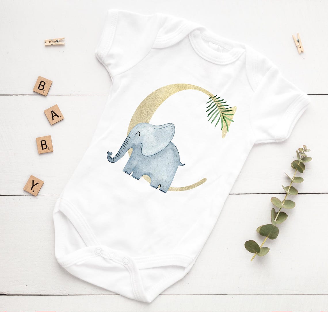 Safari Animals Alphabet - Baby Letters & Numbers, Watercolor Clipart ...