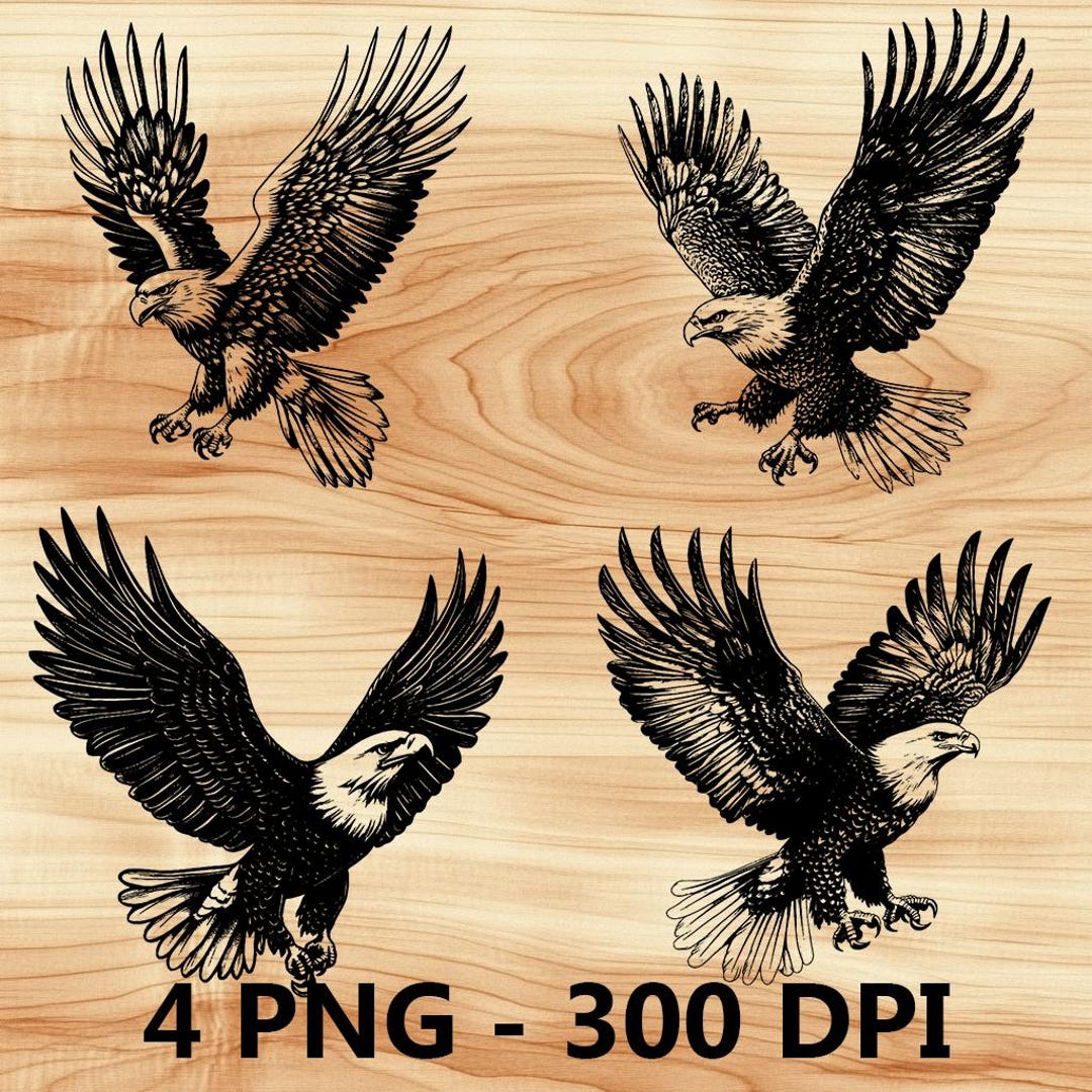 Bald Eagle Bird Hawk Laser File PNG Wood Engraving Slate Coaster Etch ...