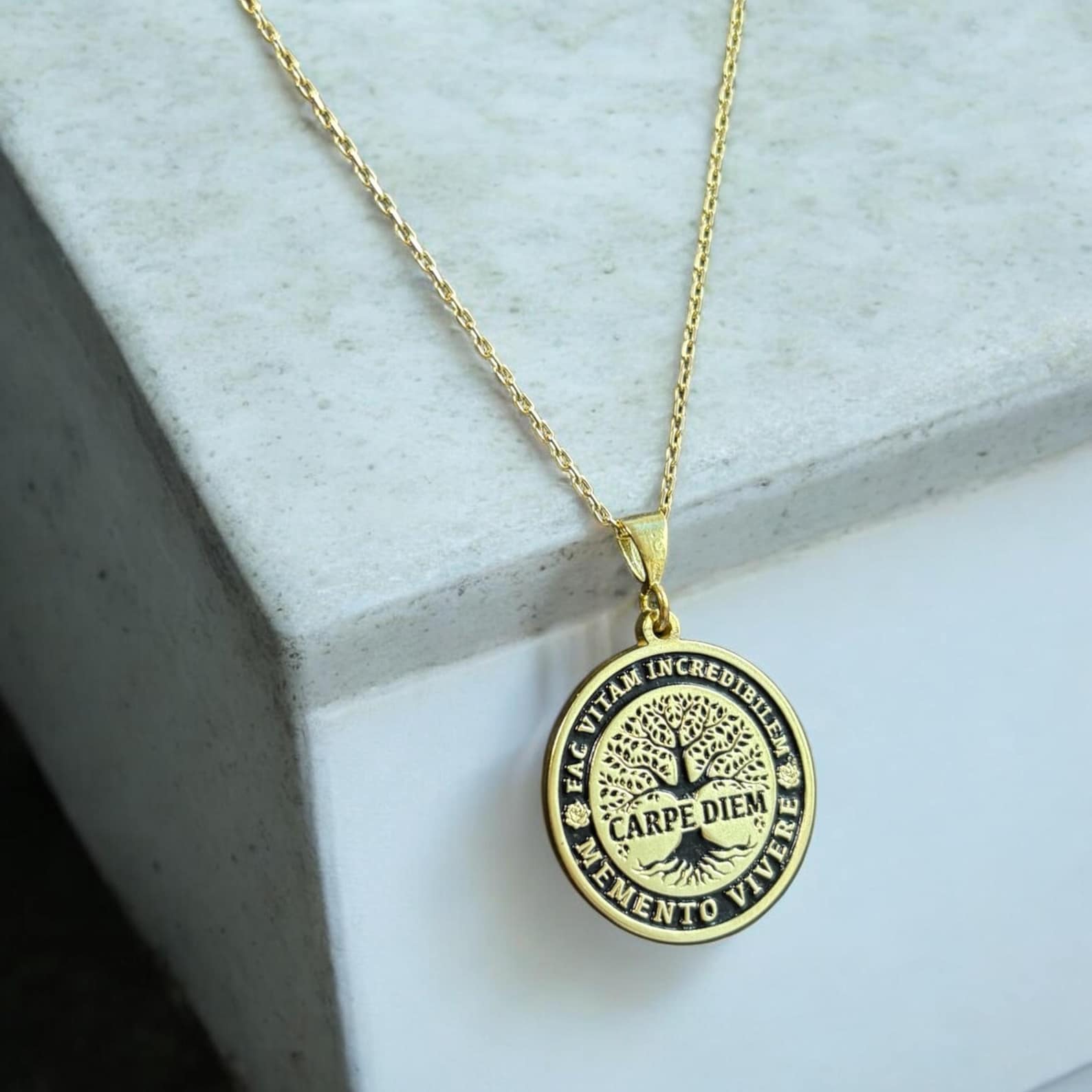 Carpe Diem Necklace, Silver Memento Mori Signet Pendant, Life Tree ...