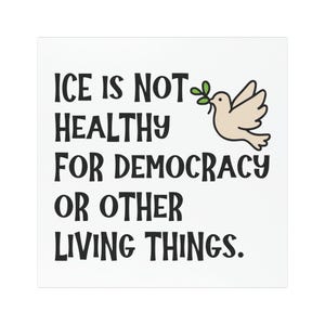 Anti ICE Bumper Magnet, Protest ICE Bumper Sticker, Social Justice Car ...