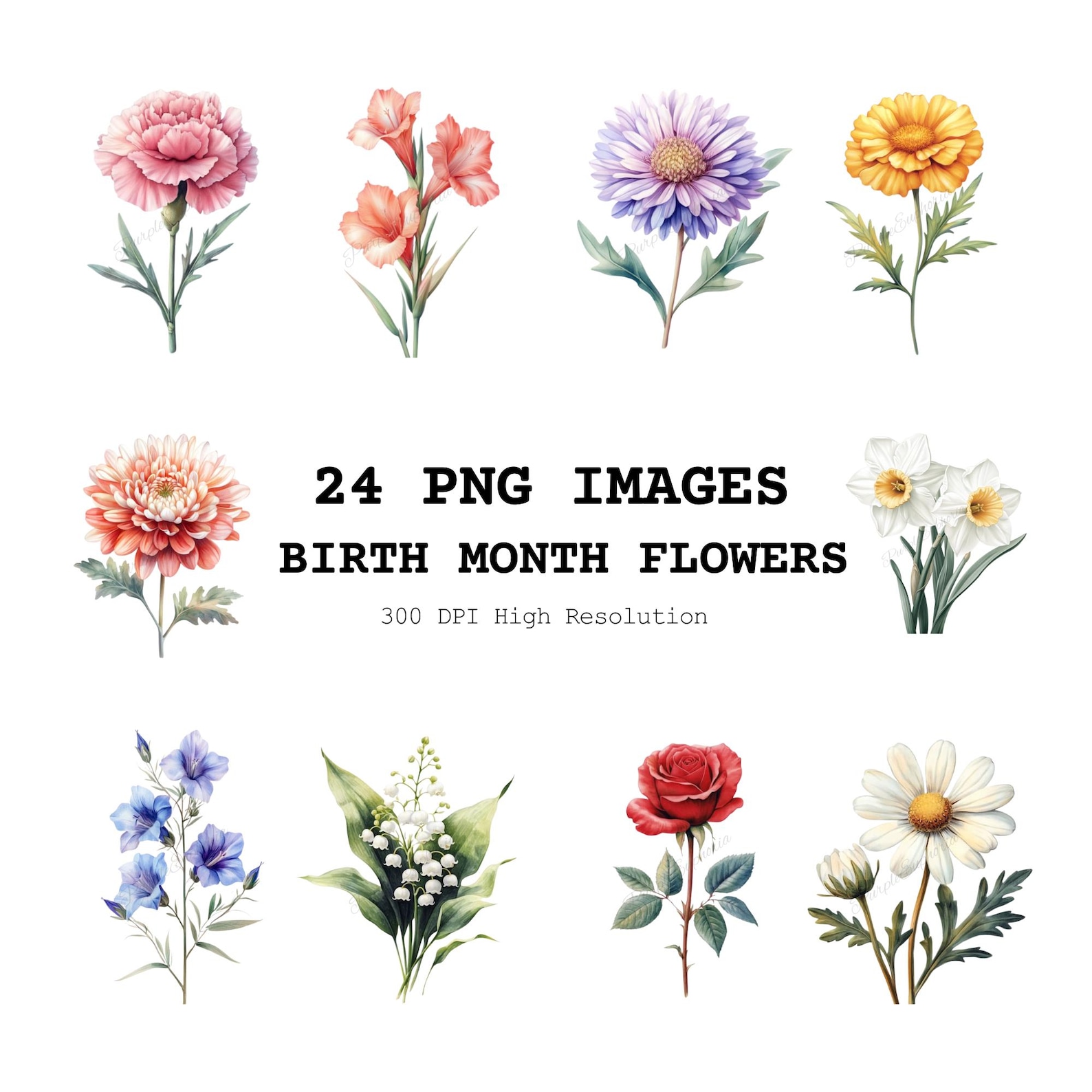 24 Watercolor Birth Month Flower Clipart Set, Birth Flower Png Bundle ...